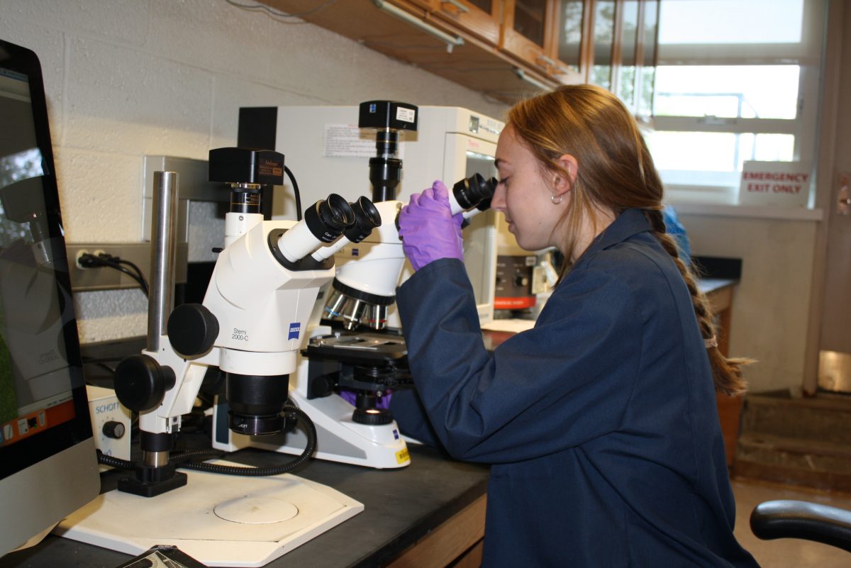 News | UConn Plant Diagnostic Laboratory